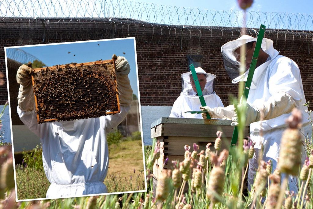 Insects – Page 5 – Animal-human